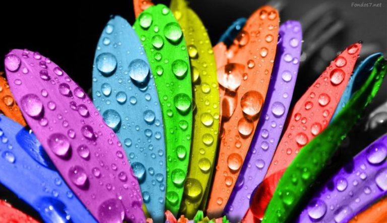 LA VISION DEL COLOR - Terapia Visual Valencia - Especialistas en ...